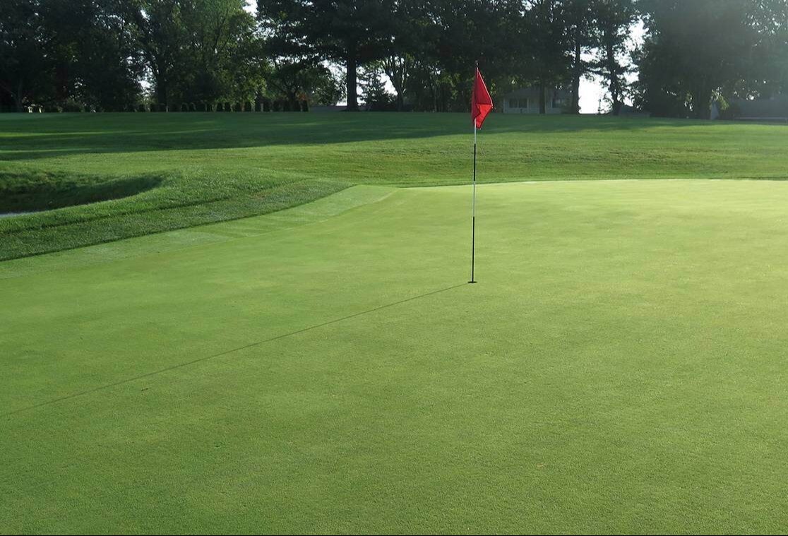 Hydroseeding Grass Mix – Turf‑Grade Seed Blend Guide