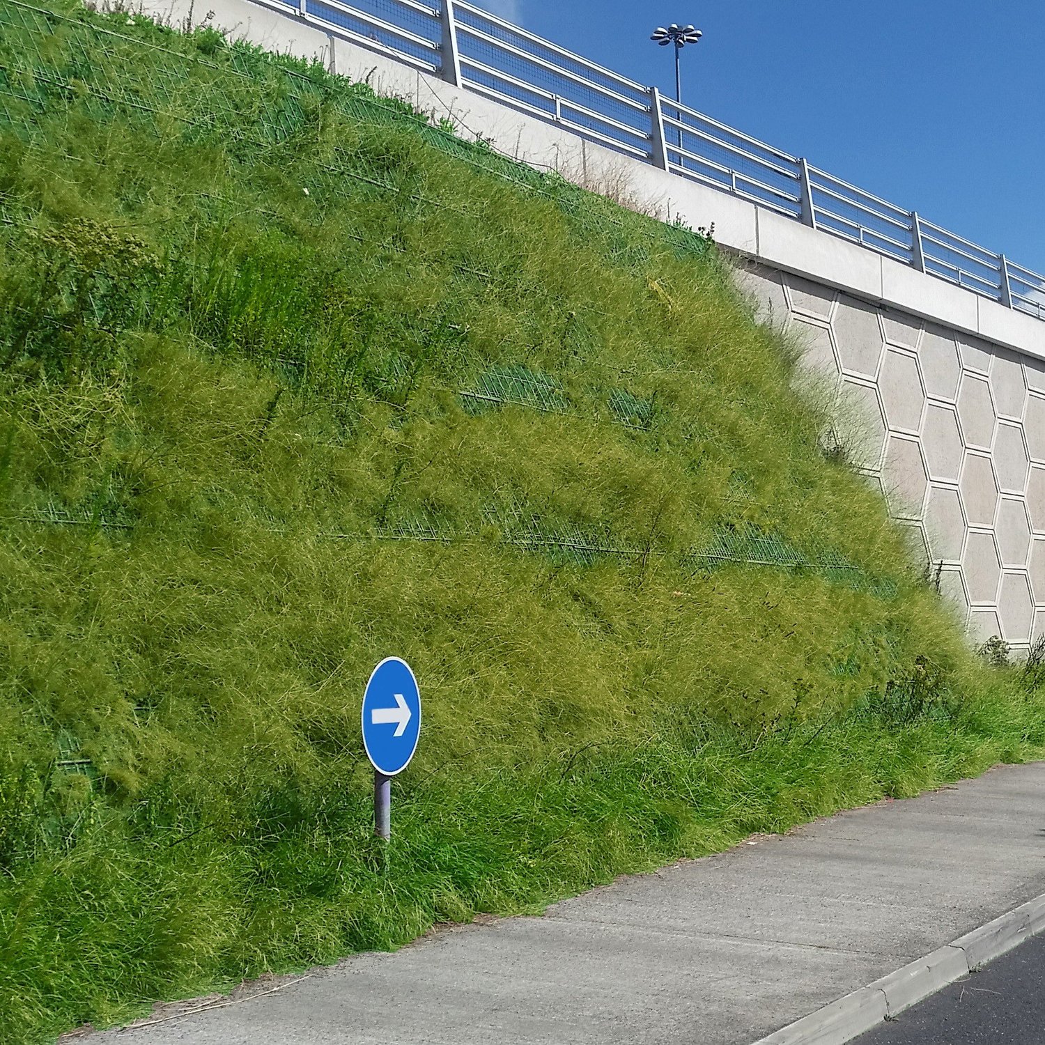 Vegetated retaining structures | GeoGrow®