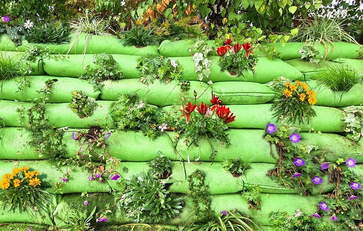 Vegetation & landscaping