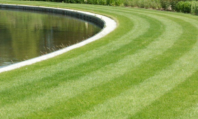 Hydroseeding Grass Mix – Turf‑Grade Seed Blend Guide