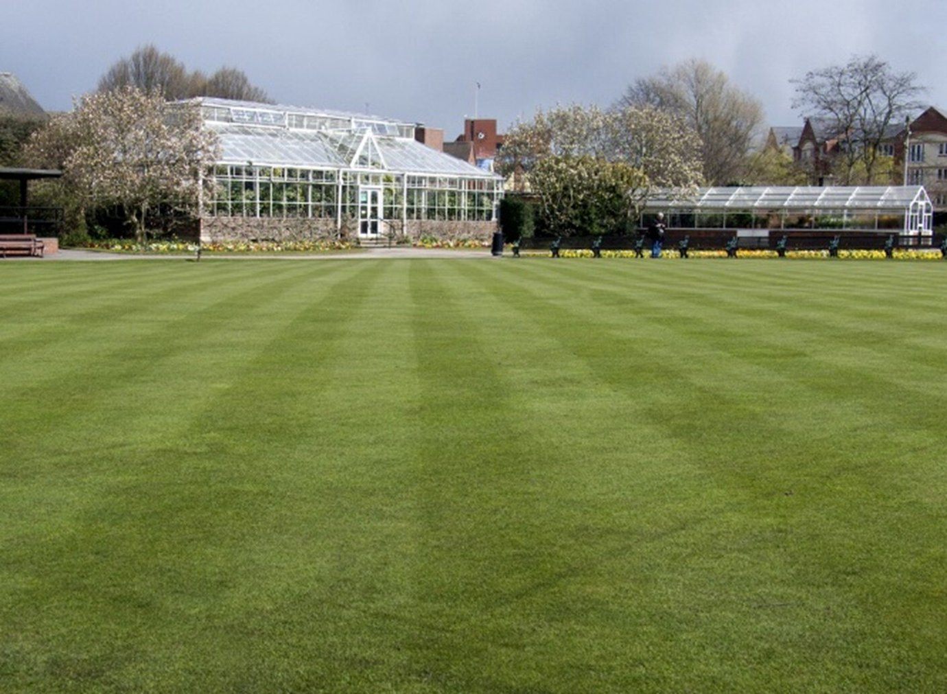 Hydroseeding Grass Mix – Turf‑Grade Seed Blend Guide