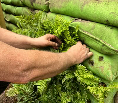 Rootlok - Plug plant guidance