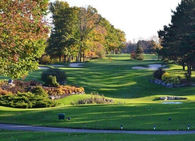 Hydroseeding Grass Mix – Turf‑Grade Seed Blend Guide