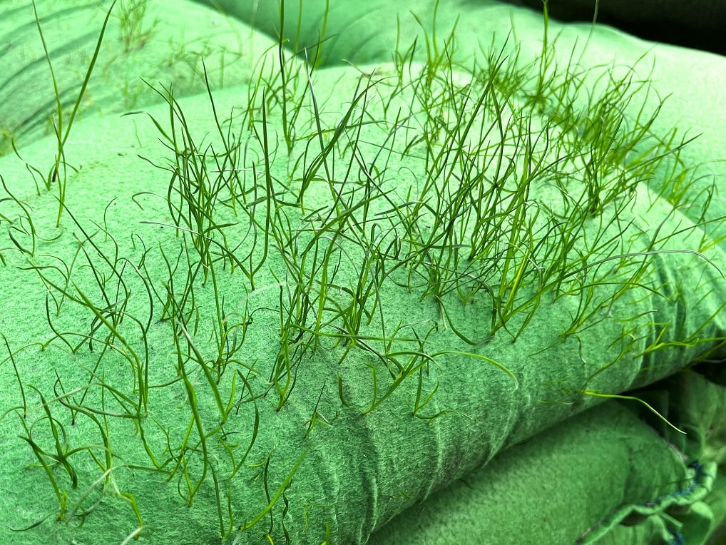 Rootlok vegetation best practice