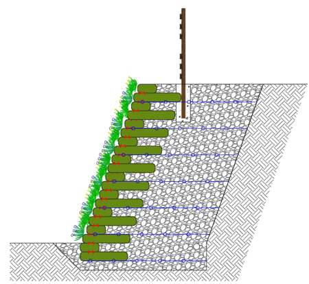 Rootlok product specification