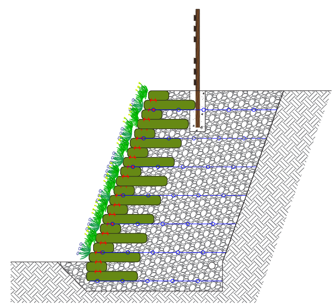 Rootlok product specification